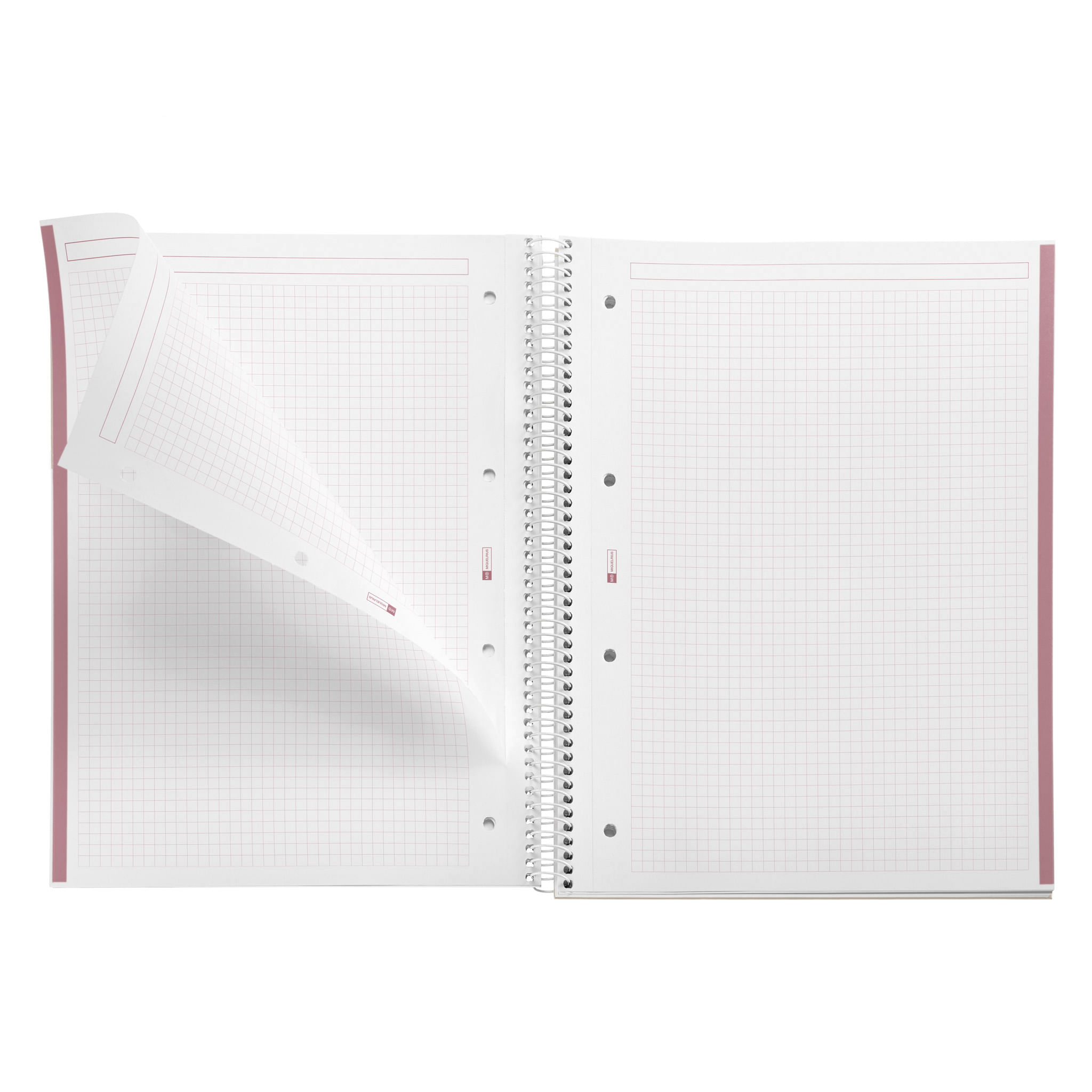 Cuaderno Profesional Cuadro Chico Miquel Rius Emotions Rose Dust 80 ...