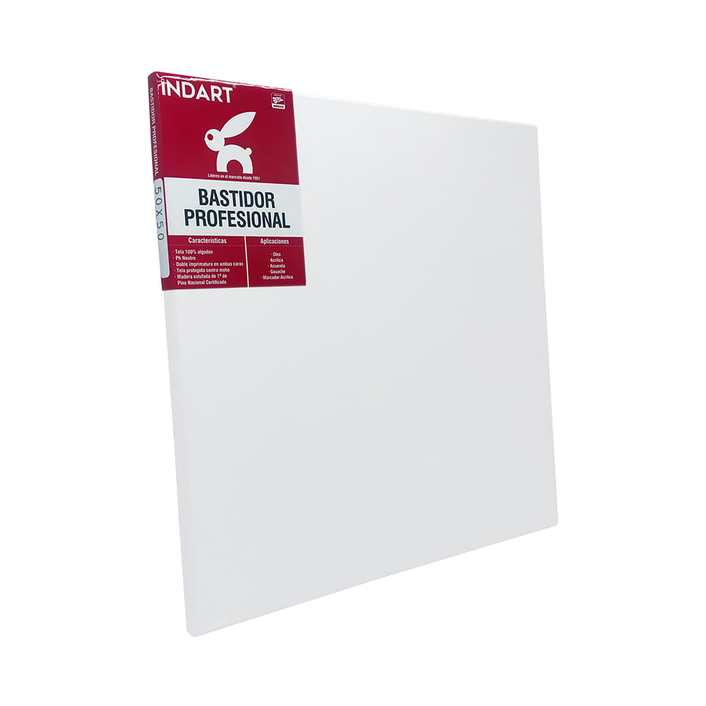 Bastidor Profesional Roel Indart Tira Delgada 2 Caras 50x50cm | Bastidores y Lienzos | OfficeMax ...